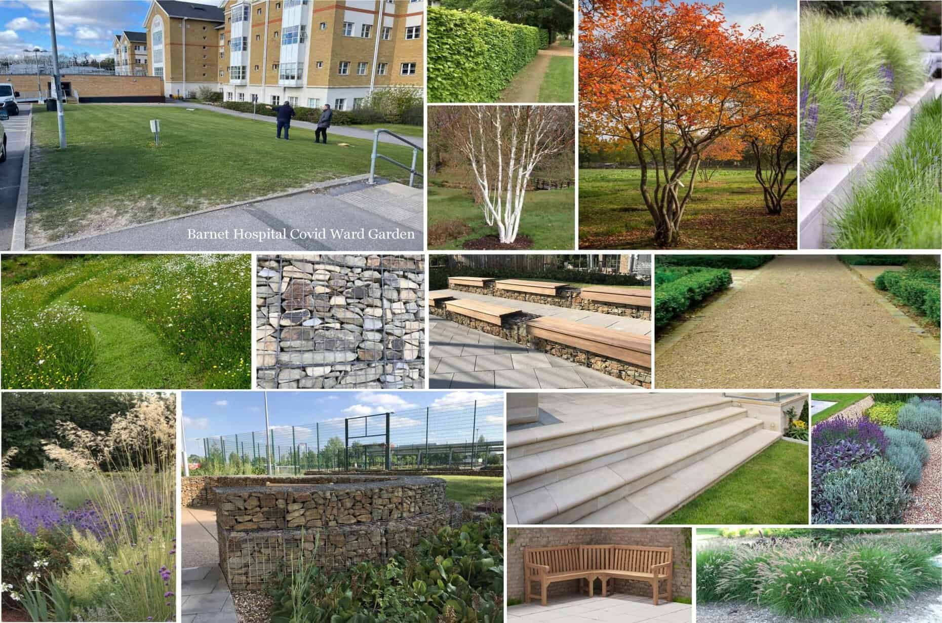 Barnet Hospital - Heartwood Garden Design